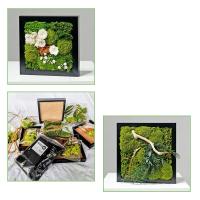 China Customized Color Green Artificial Moss Wall Decoration with Competitive and OEM Service for sale