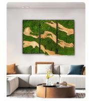 China Chinese Year Occasion Decorative Moss Top Seller 2024 for Home Decorative Accessories for sale