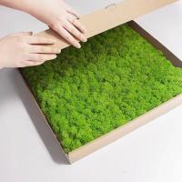 China 100% Real Preserved Moss Wall Sheet Colorful Living Reindeer Plants for Home Decoration for sale