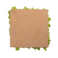 China 100% Real Preserved Moss Wall Sheet Colorful Living Reindeer Plants for Home Decoration for sale
