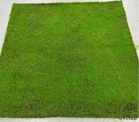 China Soft Moss Grass Fabric Artificial Grass Moss Carpet Moss Lawn For Bonsai Decoration for sale
