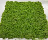 China Soft Moss Grass Fabric Artificial Grass Moss Carpet Moss Lawn For Bonsai Decoration for sale
