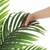 China Office Decoration Design 100-240 cm Fiberglass Artificial Tree Plant in Palm Tree Pots for sale