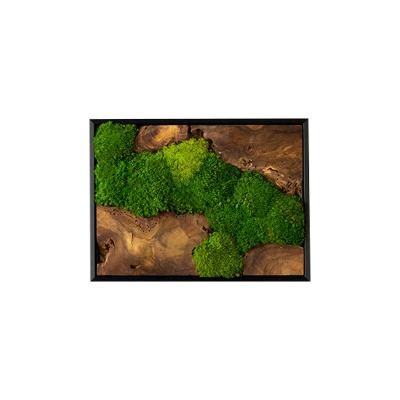 China Customize Size Rectangle Preserved Moss Wall Decor Framed for Halloween Occasion for sale