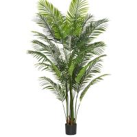 China Office Decoration Design 100-240 cm Fiberglass Artificial Tree Plant in Palm Tree Pots for sale