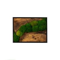China Customize Size Rectangle Preserved Moss Wall Decor Framed for Halloween Occasion for sale