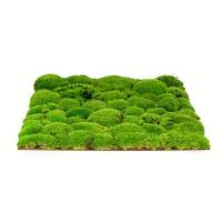 China OEM ODM Aceptable Green Simulated Moss Wall Artificial Moss Sheet Moss Panel For Decor for sale