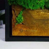 China Customize Size Rectangle Preserved Moss Wall Decor Framed for Halloween Occasion for sale