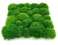 China OEM ODM Aceptable Green Simulated Moss Wall Artificial Moss Sheet Moss Panel For Decor for sale
