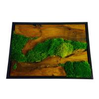 China Customize Size Rectangle Preserved Moss Wall Decor Framed for Halloween Occasion for sale