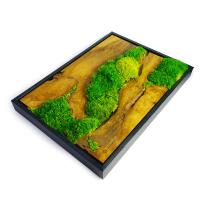 China Customize Size Rectangle Preserved Moss Wall Decor Framed for Halloween Occasion for sale