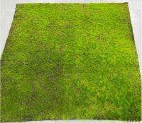 China Customizable 1M*1M Artificial Moss Turf Grass Wall Art Panel for Landscape Decoration for sale