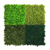 China Real Preserved Moss Panel Reindeer Moss Sheet for Home Office 50*50cm Occasion Other for sale