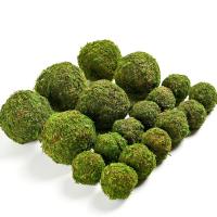 China Customized Size Green Immortal Moss Balls for Vase Filler 3-5 Years Life Expectancy for sale