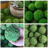 China Customized Size Green Immortal Moss Balls for Vase Filler 3-5 Years Life Expectancy for sale