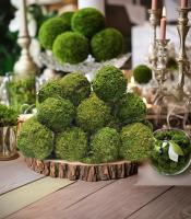 China Customized Size Green Immortal Moss Balls for Vase Filler 3-5 Years Life Expectancy for sale