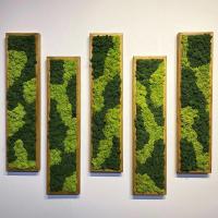China Customized Logo Accepted Halloween Home Decoration Preserved Moss Wall Art Frame Boxed for sale