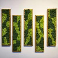 China Customized Logo Accepted Halloween Home Decoration Preserved Moss Wall Art Frame Boxed for sale