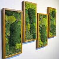 China Customized Logo Accepted Halloween Home Decoration Preserved Moss Wall Art Frame Boxed for sale