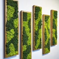 China Customized Logo Accepted Halloween Home Decoration Preserved Moss Wall Art Frame Boxed for sale