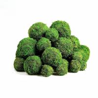 China Customized Logo Accepted Newly Designed Marimo Artificial Moss Ball for Mall Decoration for sale