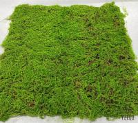 China Silk Floss Green Fakes Moss Lawn Turf 1M*1M Size for Home Landscaping Decoration for sale