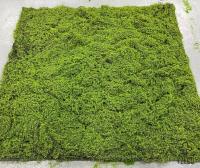 China Silk Floss Green Fakes Moss Lawn Turf 1M*1M Size for Home Landscaping Decoration for sale