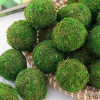 China Simulated Moss Plant Hanging Landscape Decoration for Wedding Life Time 3-5 Years for sale