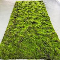 China Sample Green Simulated Moss Wall for Artificial Moss Sheet Plant Type Moss for sale