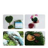 China Indoor and Outdoor Decoration with Natural Color Artificial Moss Hanging Vines for sale