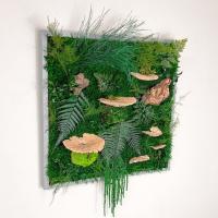 China Indoor Decor Hang Square Preserved Moss Wall Art Frame with Customized Logo 30*30cm for sale