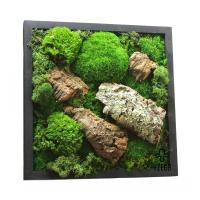 China Indoor Decor Hang Square Preserved Moss Wall Art Frame with Customized Logo 30*30cm for sale