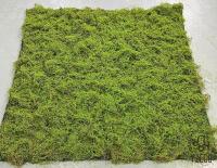 China 1M*1M Square Flat Moss Mat for Garden Decoration Artificial Grass Assurance Odorless for sale
