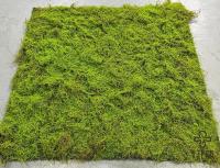 China Home Garden Greening Decoration 1M*1M Simulation Lawn Lichen Grass Barks with Moss for sale