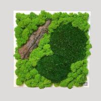 China Real Green Moss Art Preserved Moss Wall Frame for Home and Office Decor Made to Order for sale