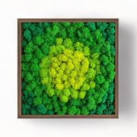 China Real Green Moss Art Preserved Moss Wall Frame for Home and Office Decor Made to Order for sale