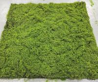 China Soft Artificial Stone Moss Green Grass Wall for Garden Landscape 5 Years Life Time for sale