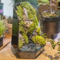 China Aceptable OEM ODM 2024 Botanical Sculpture for Bithday Gift Preserved Moss Terrarium for sale