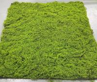 China EPE Foam Customized Artificial Moss Mat Grass Rug Synthetic Turf For Balcony Landscape for sale