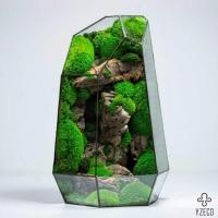 China Environmentally Friendly Preserved Moss Micro-Landscape with Customized Color Option for sale