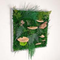 China Real Plants 30*30cm Square Preserved Moss Panels Frame Unique Home Decoration for sale