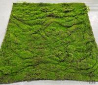 China Large Size UV Proof Moss Grass Wall Mat Moss Carpet Cotton Base Life Time 5 Years for sale