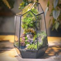 China Customized Logo Accepted Micro Landscape Geometric Glass Greenhouse for Tabletop Decor for sale