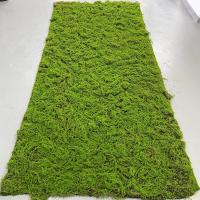 China Professional Green Moss Grass Landscape Roll Up Carpet for Patios Decoration Sample for sale