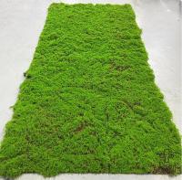 China Professional Green Moss Grass Landscape Roll Up Carpet for Patios Decoration Sample for sale