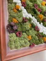 China Real Preserved Moss Wall Art Frame for Garden Decor No Maintenance and Natural Beauty for sale