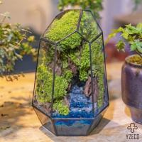 China Customized Logo Thanksgiving Occasion Miniature Moss Landscape for Home Decoration Sale for sale