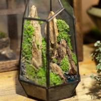 China Customized Logo Thanksgiving Occasion Miniature Moss Landscape for Home Decoration Sale for sale