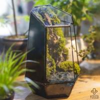 China Customized Logo Thanksgiving Occasion Miniature Moss Landscape for Home Decoration Sale for sale