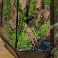 China Customized Logo Thanksgiving Occasion Miniature Moss Landscape for Home Decoration Sale for sale